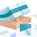 G Bact | Agence D3com